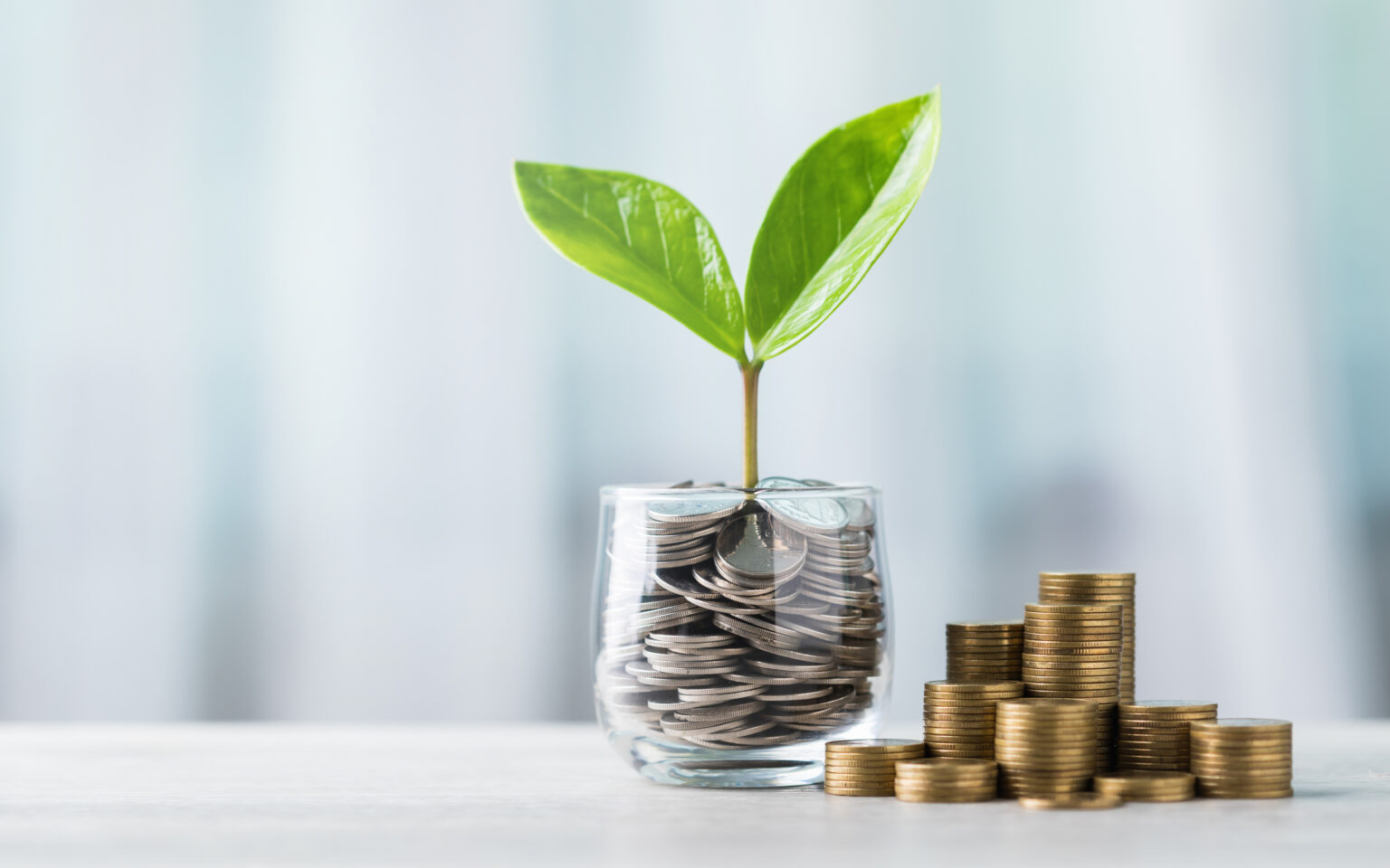 South Africa’s National Minimum Wage Increased Effective 1 March 2026 ...